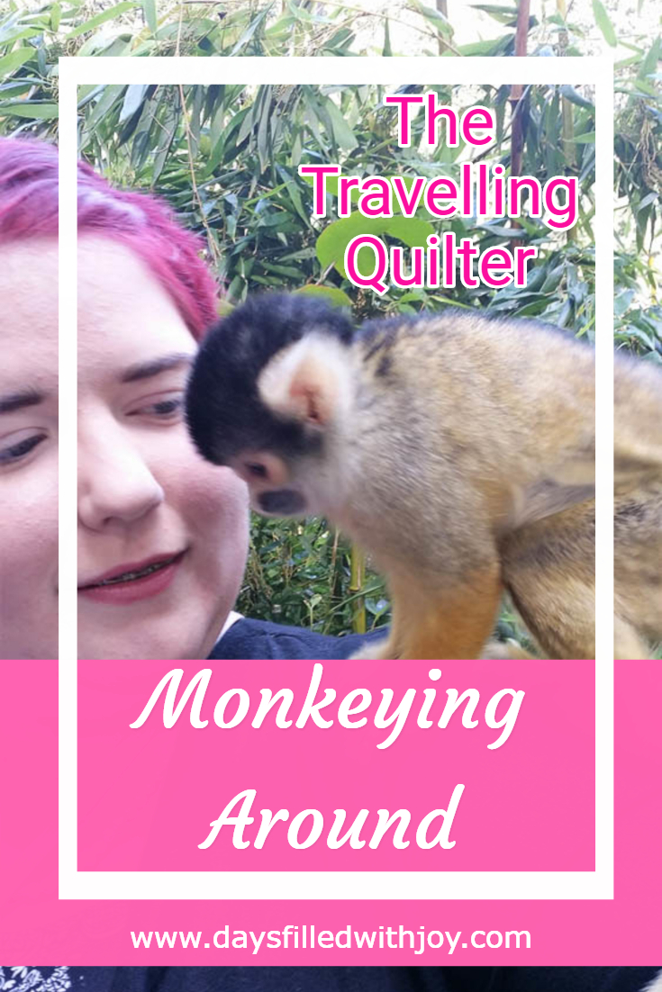 Monkeying Around - Days Filled With Joy
